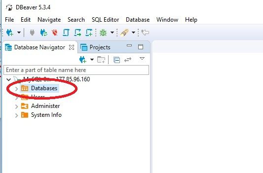 DBeaver: Como conectar e gerenciar um banco MySQL | Homehost