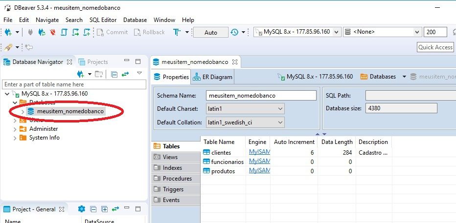 DBeaver: guia passo a passo para gerenciar o MySQL | Homehost