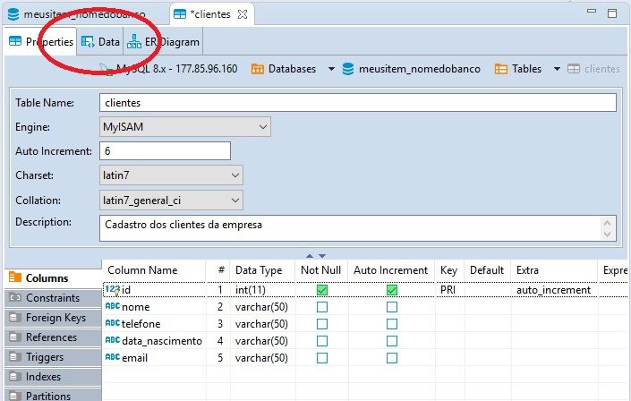 DBeaver: Como conectar e gerenciar um banco MySQL | Homehost