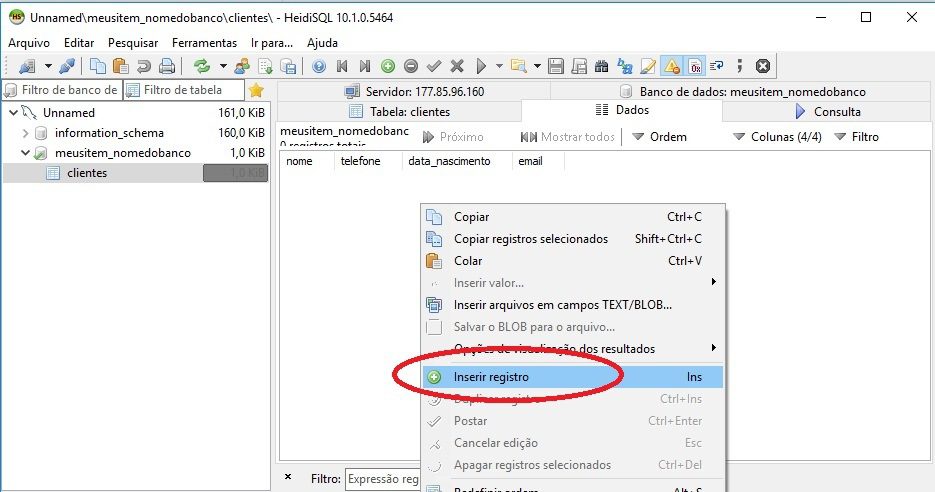 Heidi SQL: Como conectar, criar tabela e inserir dados | Homehost
