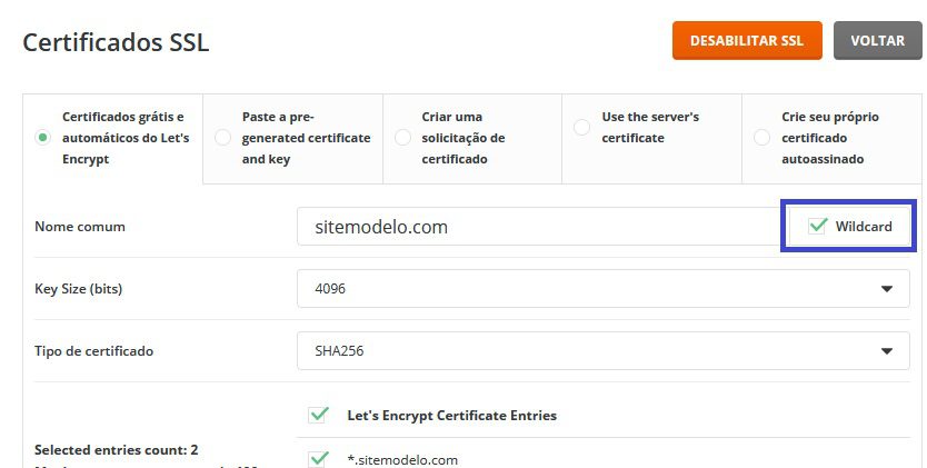 Let's Encrypt: Como instalar um SSL grátis pelo DirectAdmin | Homehost