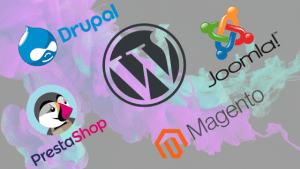 O que é CMS? | Homehost