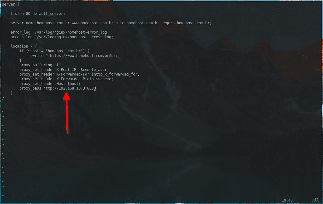 Erro 502 Bad Gateway: o que é e como resolver | Homehost