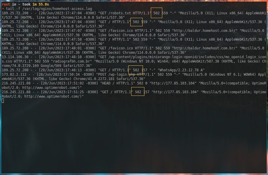 Erro 502 Bad Gateway: o que é e como resolver | Homehost
