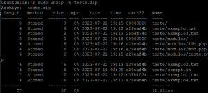 Unzip no Linux: 10 exemplos de como usar o Unzip | Homehost
