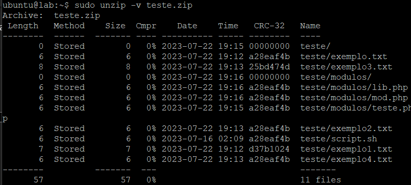 Unzip no Linux: 10 exemplos de como usar o Unzip | Homehost