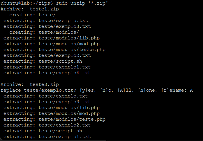 Unzip no Linux: 10 exemplos de como usar o Unzip | Homehost